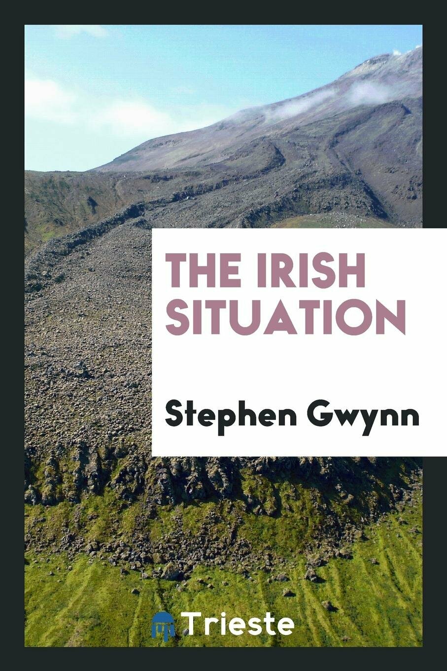 The Irish situation — фото 1