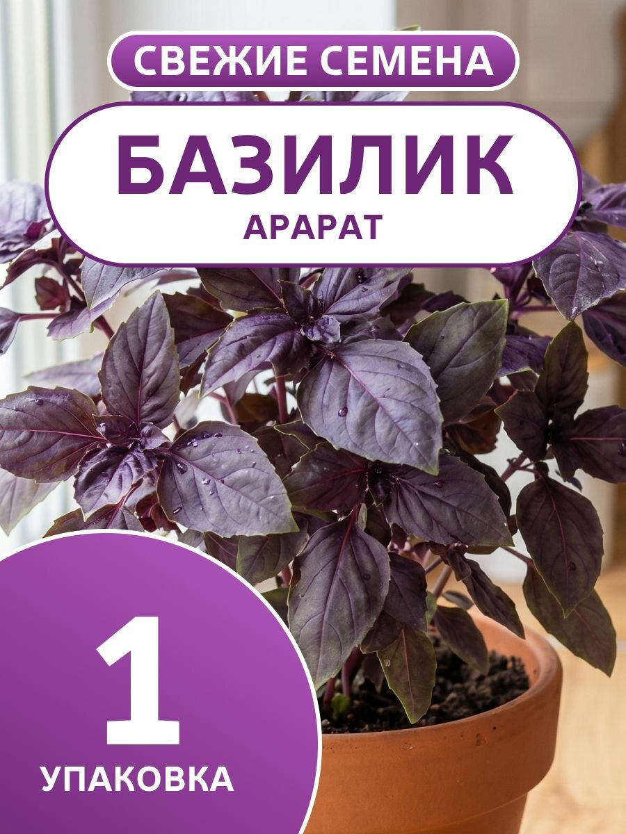 Семена базилика Арарат для выращивания, 1 уп