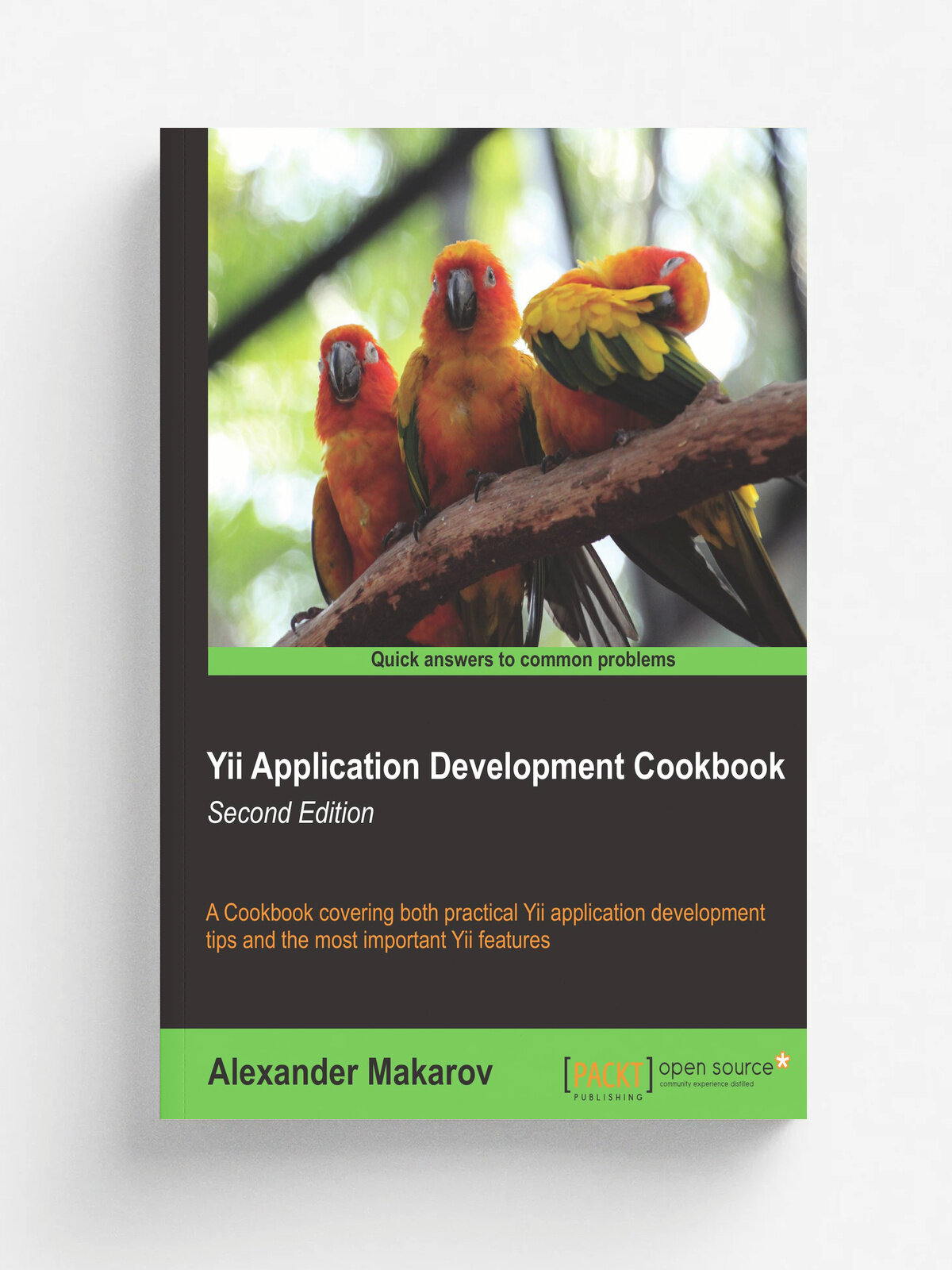 Yii Application Development Cookbook (2nd Edition)