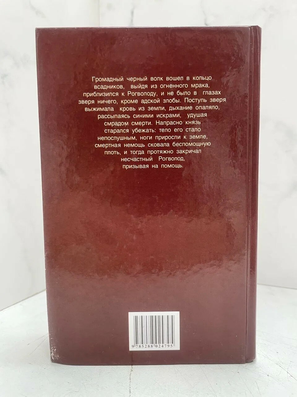 Сага о Рорке — фото 1