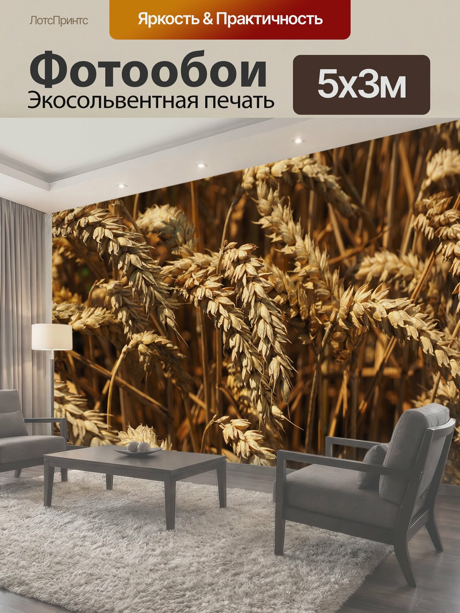 Фотообои "Пшеничный колос, пшеница, шип" 500x300 см. экосольвентная печать