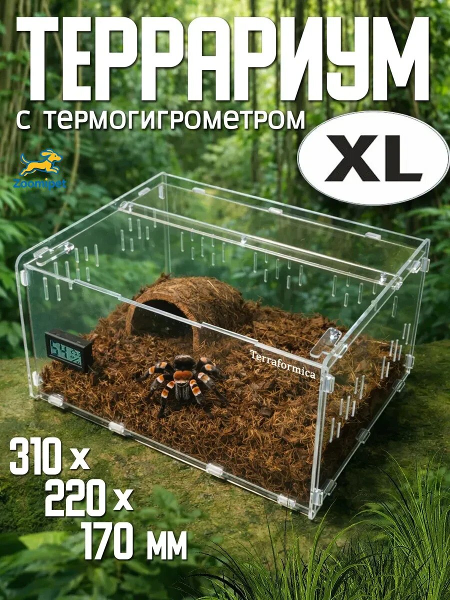 Террариум 310х220х170 мм для пауков, улиток и рептилий