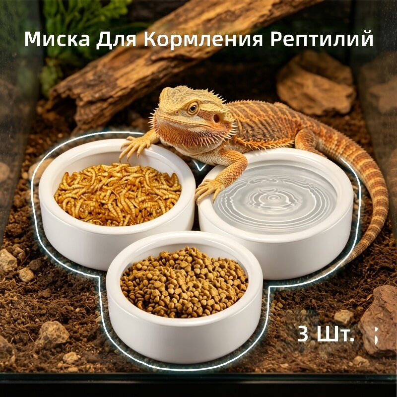 Керамическая миска для рептилий с антивыпрыгиванием, набор из 3 шт.