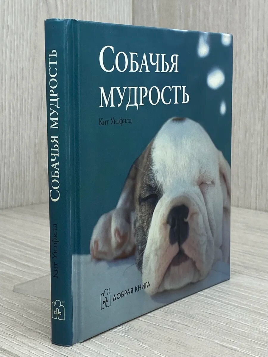 Собачья мудрость — фото 1