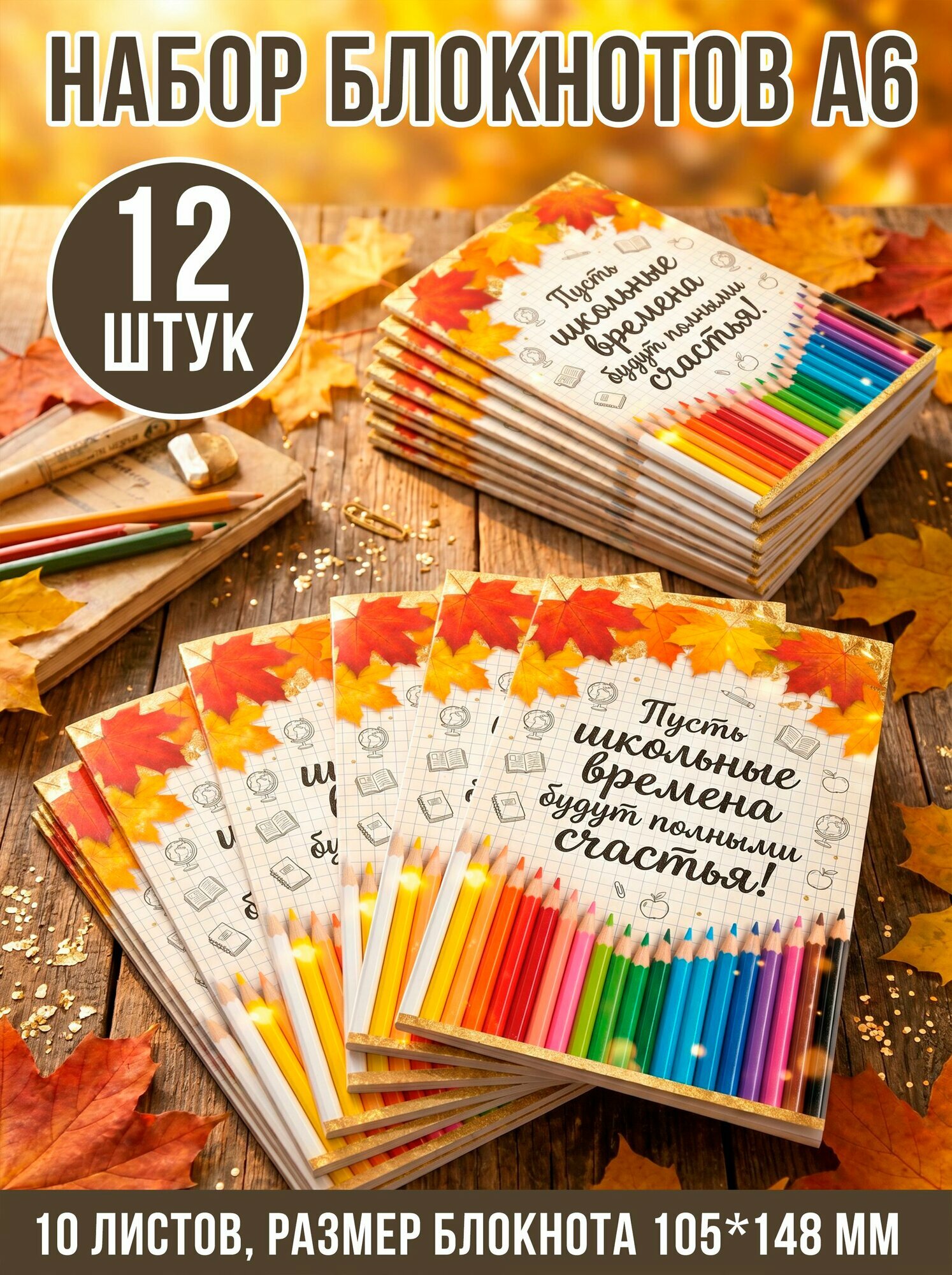 Набор блокнотов для школьников на 1 сентября А6 12 шт