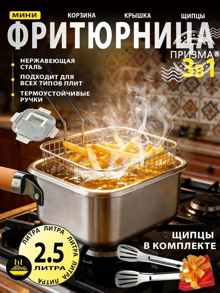 Фритюрница мини для плиты 2.5 л, домашняя фритюрница из нержавеющей стали с корзиной, крышкой и щипцами для картофеля фри