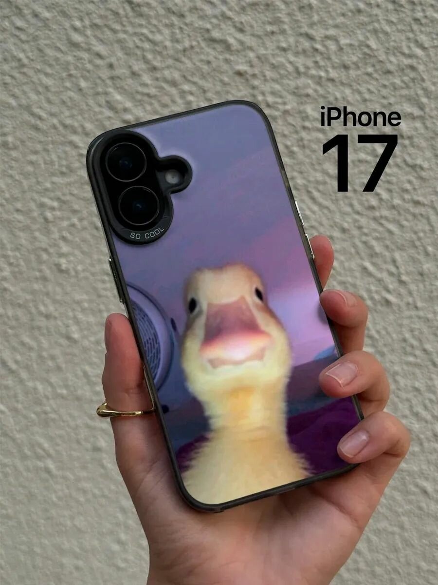 Чехол на Iphone 17 мем