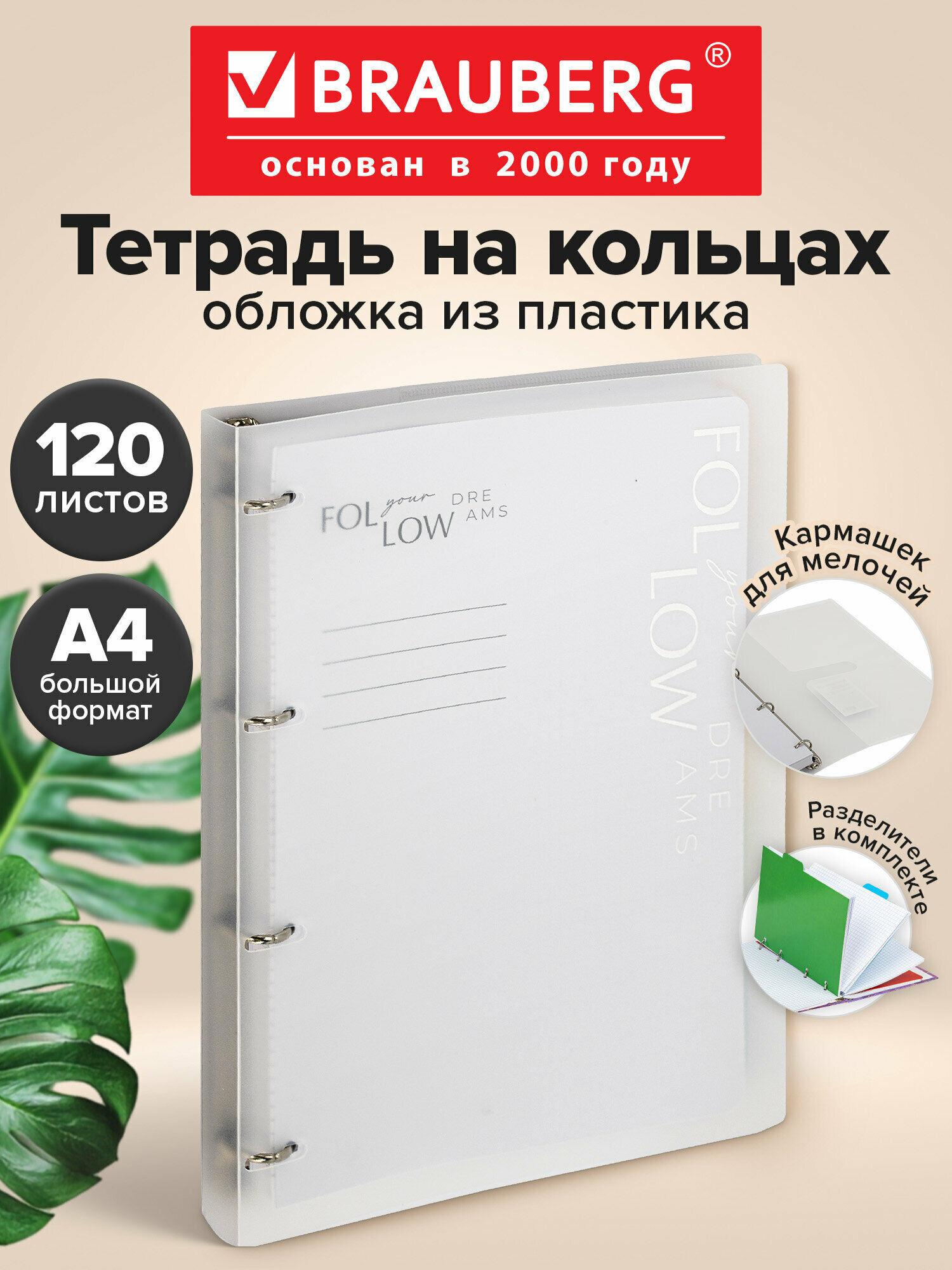 Тетрадь на кольцах А4 в клетку со сменным блоком 305х235 мм 120 листов, обложка пластик, разделители, Brauberg, 405252