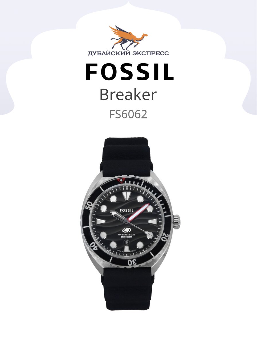  FOSSIL