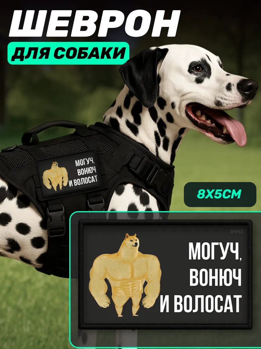 Шеврон на липучке для собак Могуч вонюч и волосат