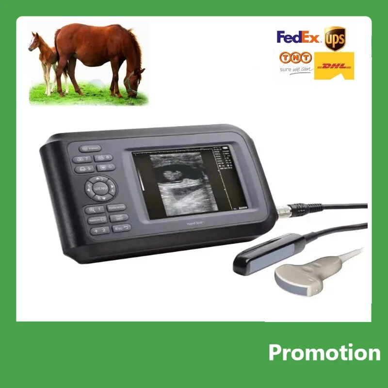 Ультразвуковой сканер V8 COW Sonar M-convex-rectal