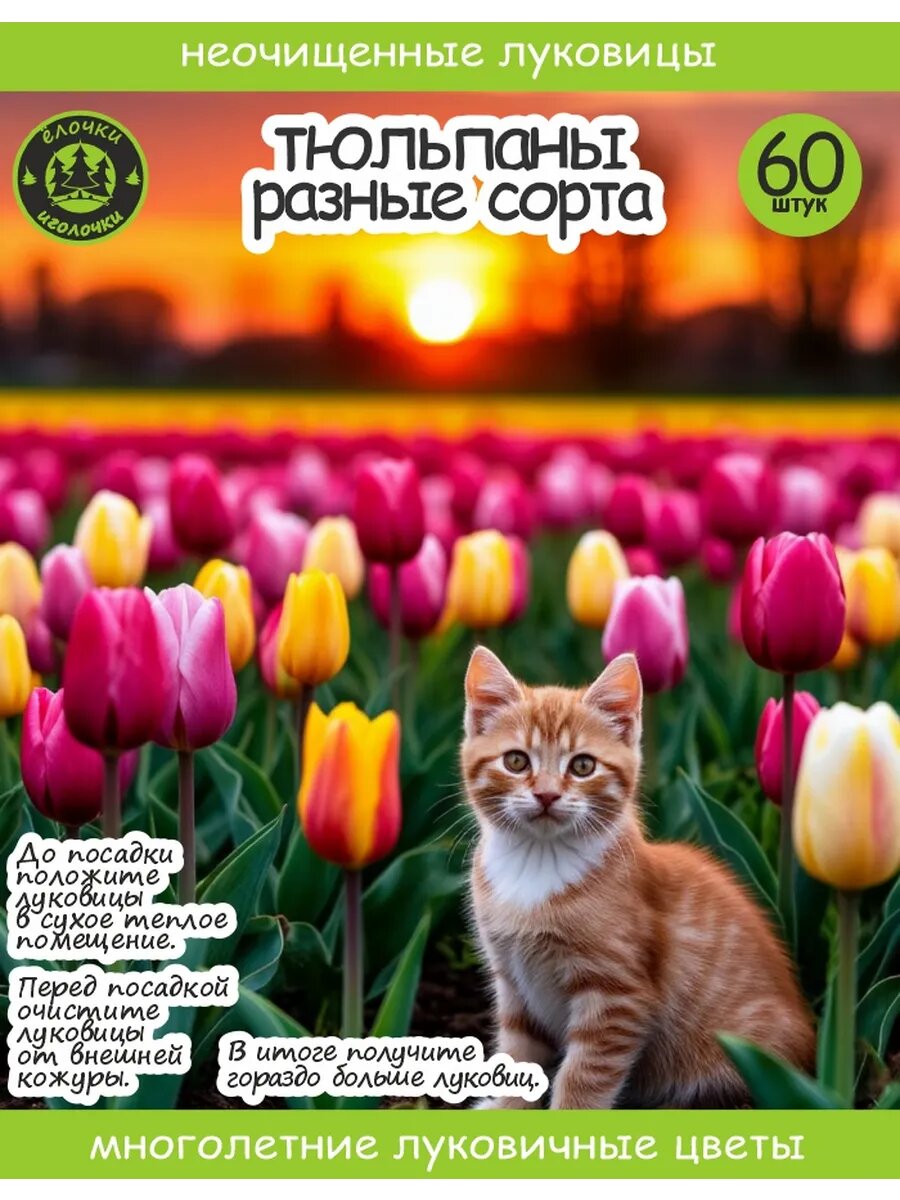 Тюльпан Луковицы неочищенные, Микс сортов, 60штук