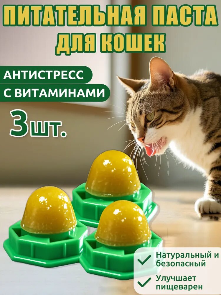 Леденец для кошек, шарик с кошачьей мятой,3 шт, вкусные игрушечные мячики с курицей и витаминами для кошек