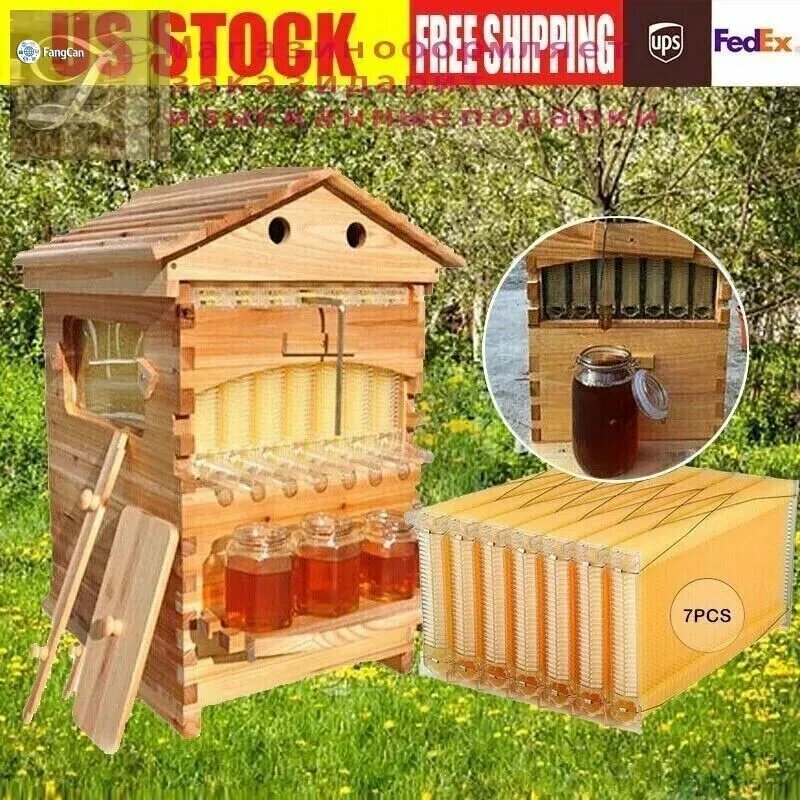 Улей