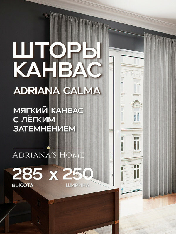 Шторы Adriana Calma, канвас, серый, комплект из 2 штор, высота 285 см, ширина 250 см, лента