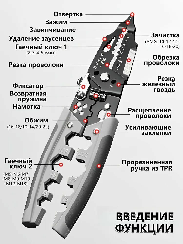 Стрипперы — фото 1