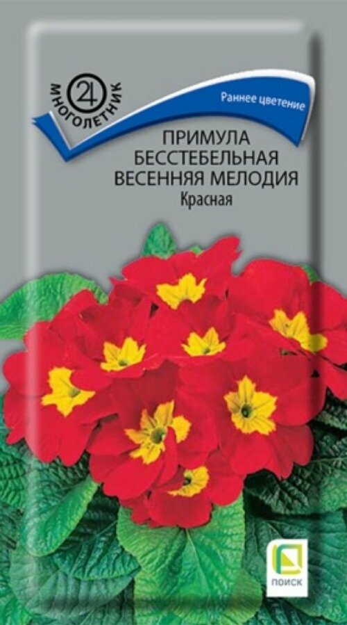 Семена примулы поиск Весенняя мелодия, красная, 10 шт