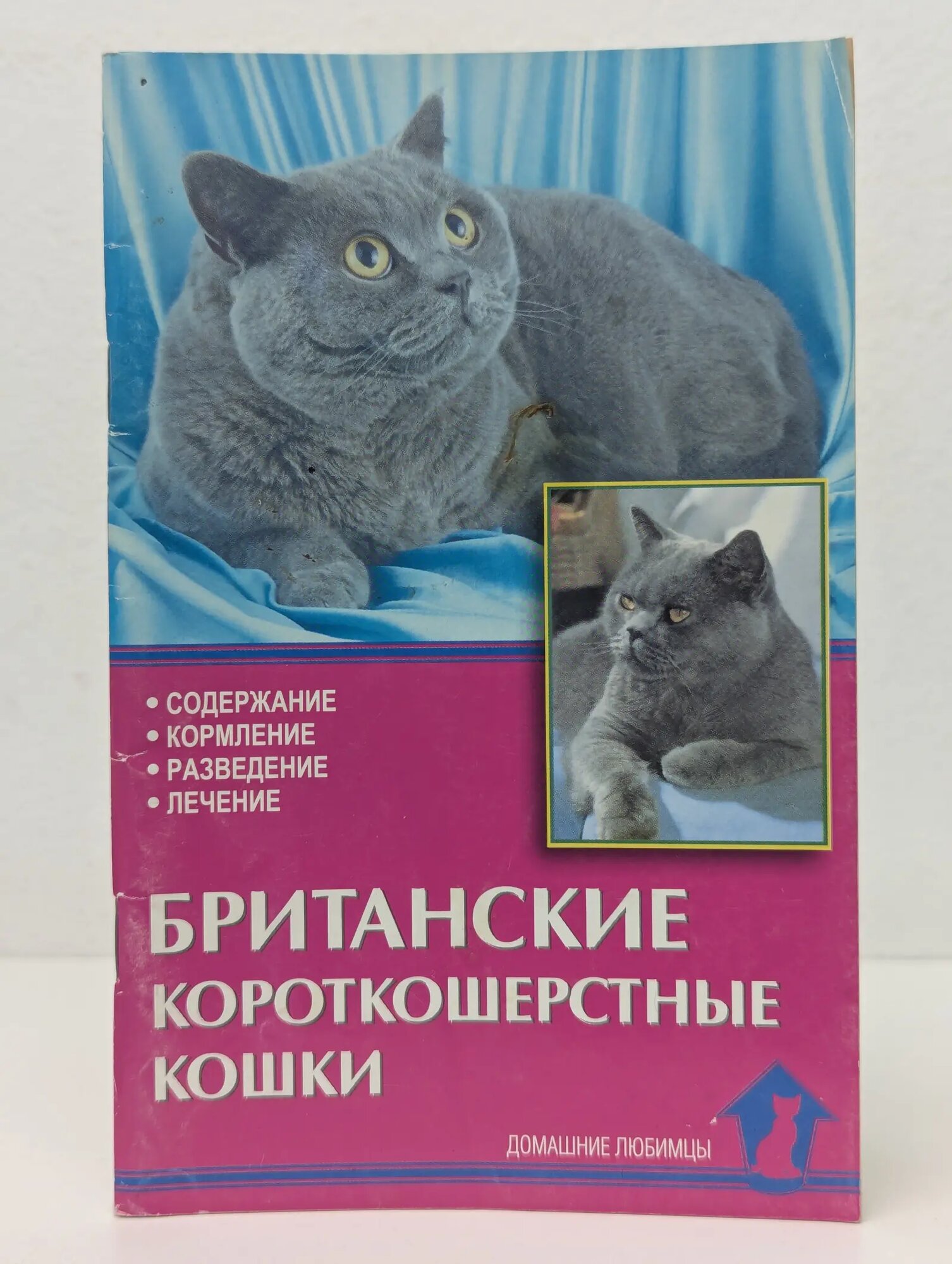 Домашние любимцы. Британские короткошерстные кошки 2007