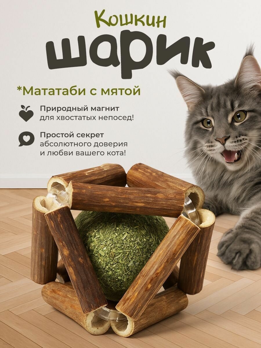 Игрушка для кошек, шарик мататаби с кошачьей мятой