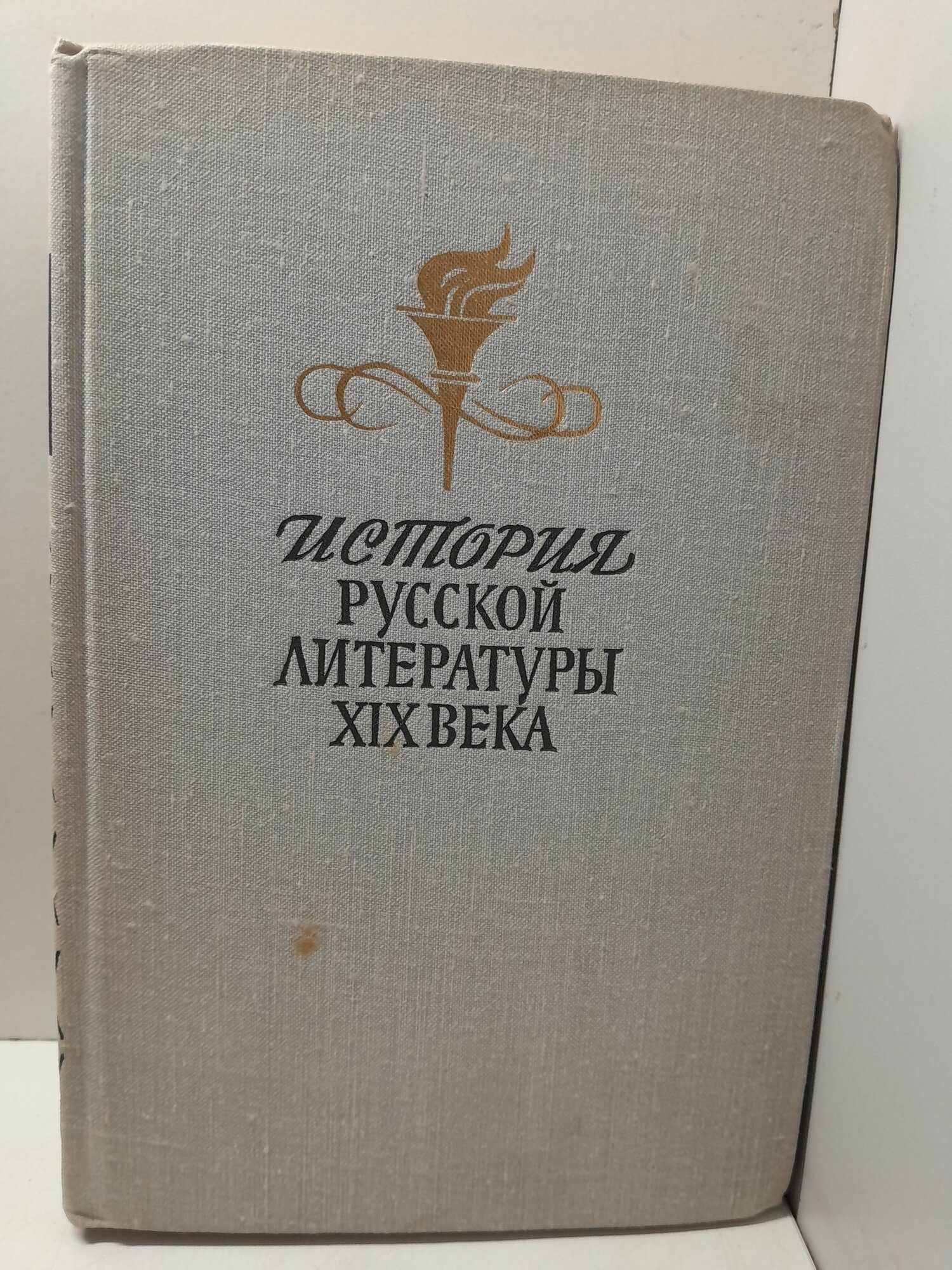 История русской литературы XIX века. Второй половины