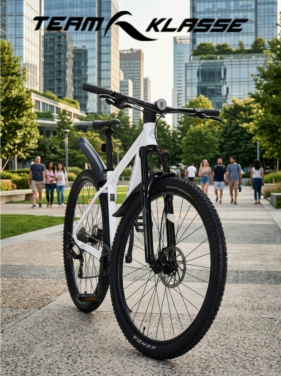 Велосипед Team Klasse FB-5, горный, 9 скоростей, диаметр колес 29", рама 16", белый