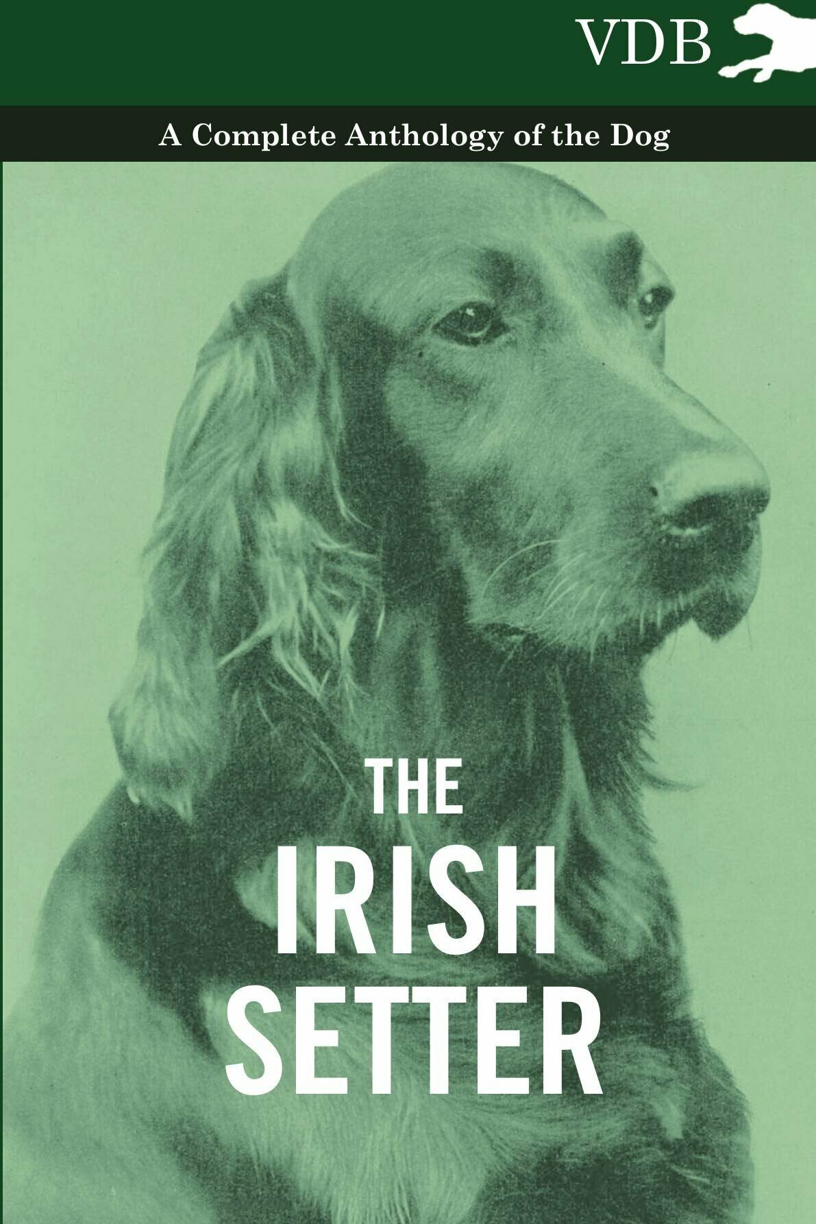 The Irish Setter - A Complete Anthology of the Dog