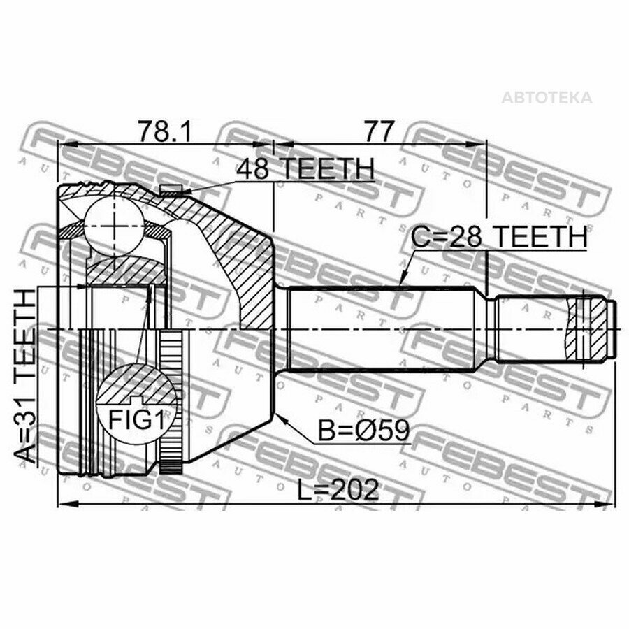 Шрус наружный 31x59x28 FEBEST 2110TRD9A48 FORD TRANSIT TT9 2006-2013 [EU]