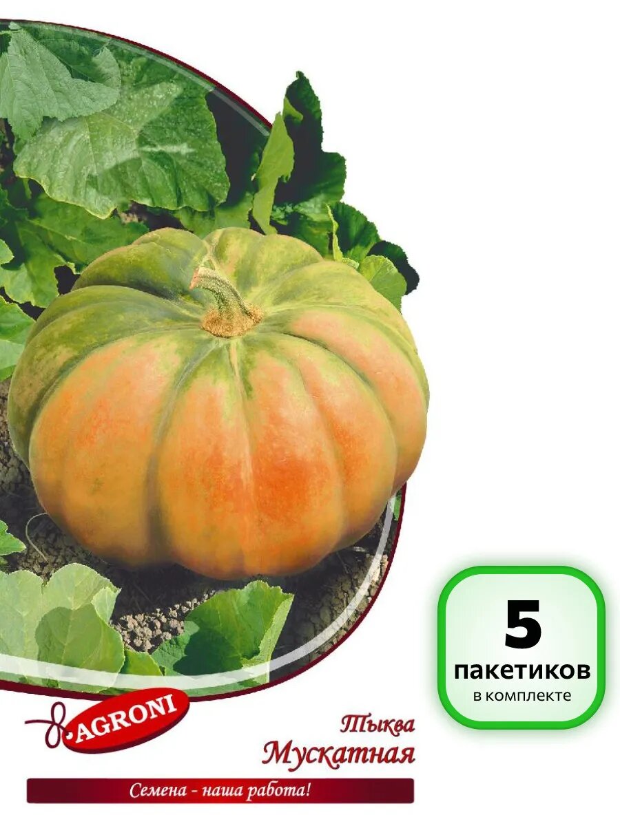 (5 шт.) - Семена Тыква Мускатная (2,0г)