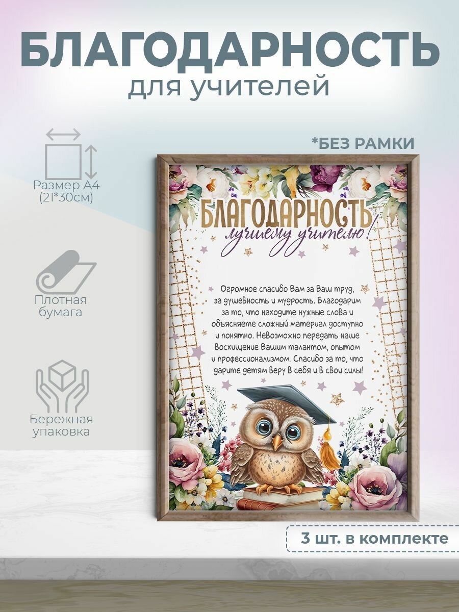 Благодарность учителю 3 шт А4