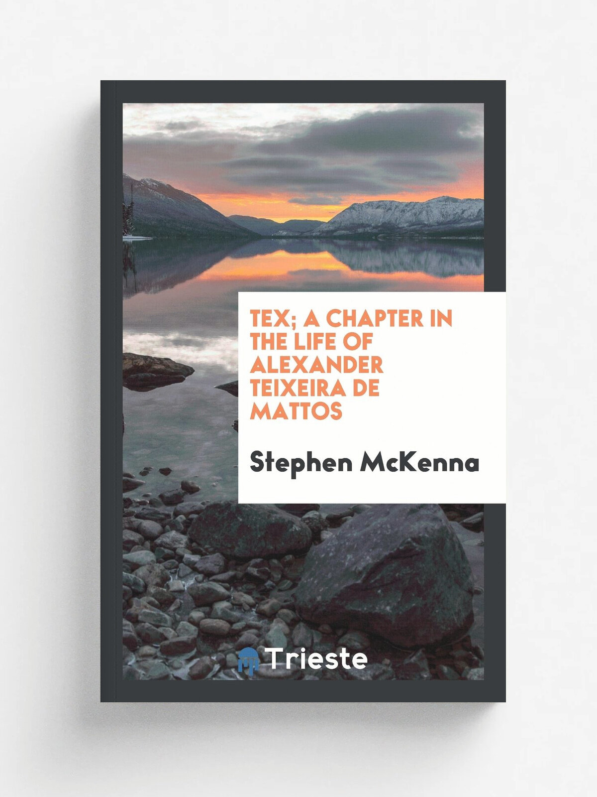 Tex; a chapter in the life of Alexander Teixeira de Mattos