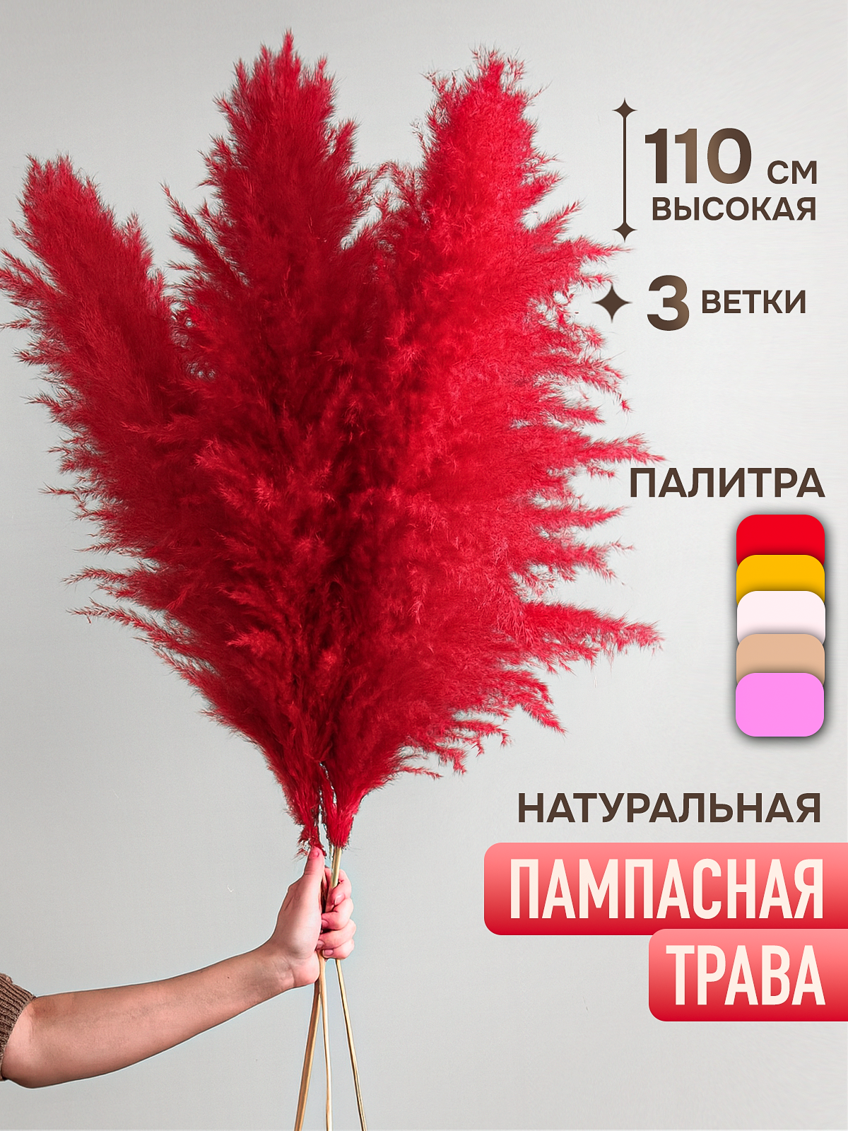 Сухоцветы для декора Sunflowers, Пампасная трава натуральная красная высокая, 3 ветки 110 см