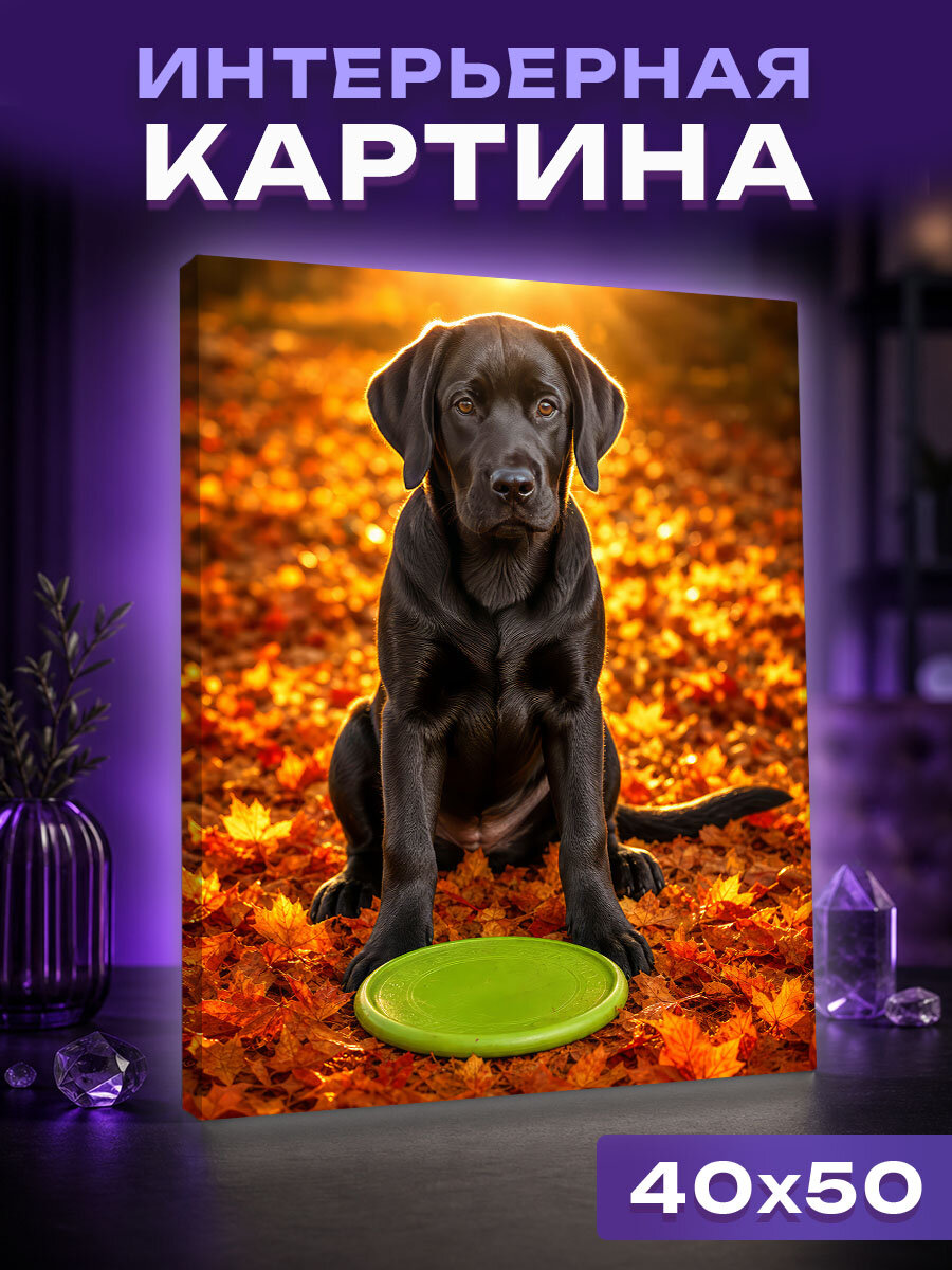 Интерьерная картина собака на осенних кленовых листьях