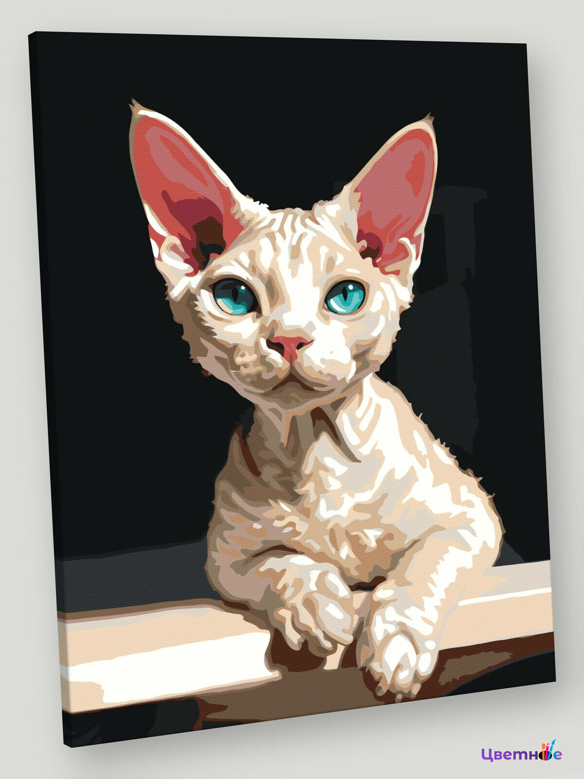 Картина по номерам на холсте с подрамником 40x50 "Кошки: Котенок Девон рекс"