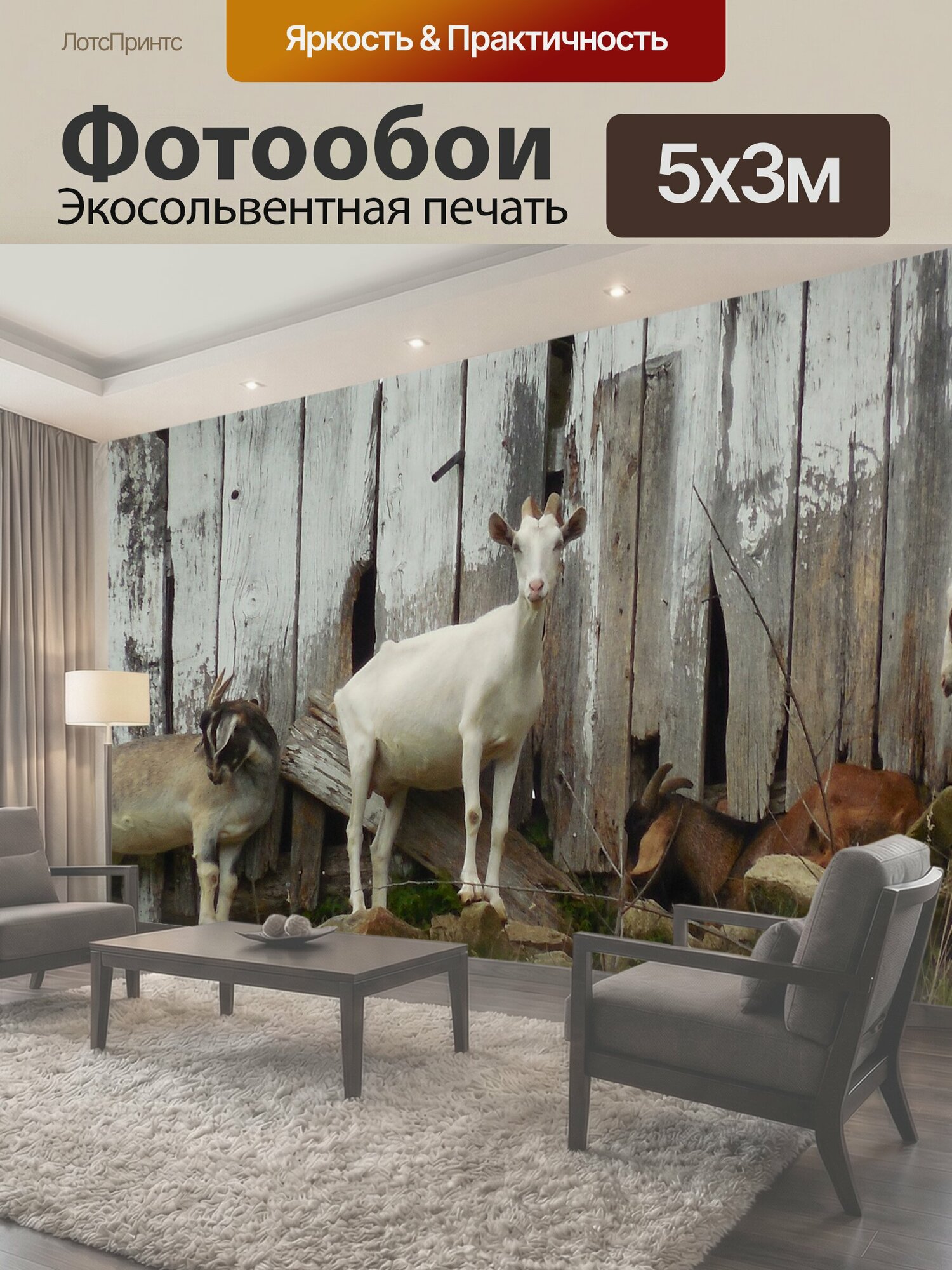 Фотообои "Сарай, козел, животное" 500x300 см. экосольвентная печать