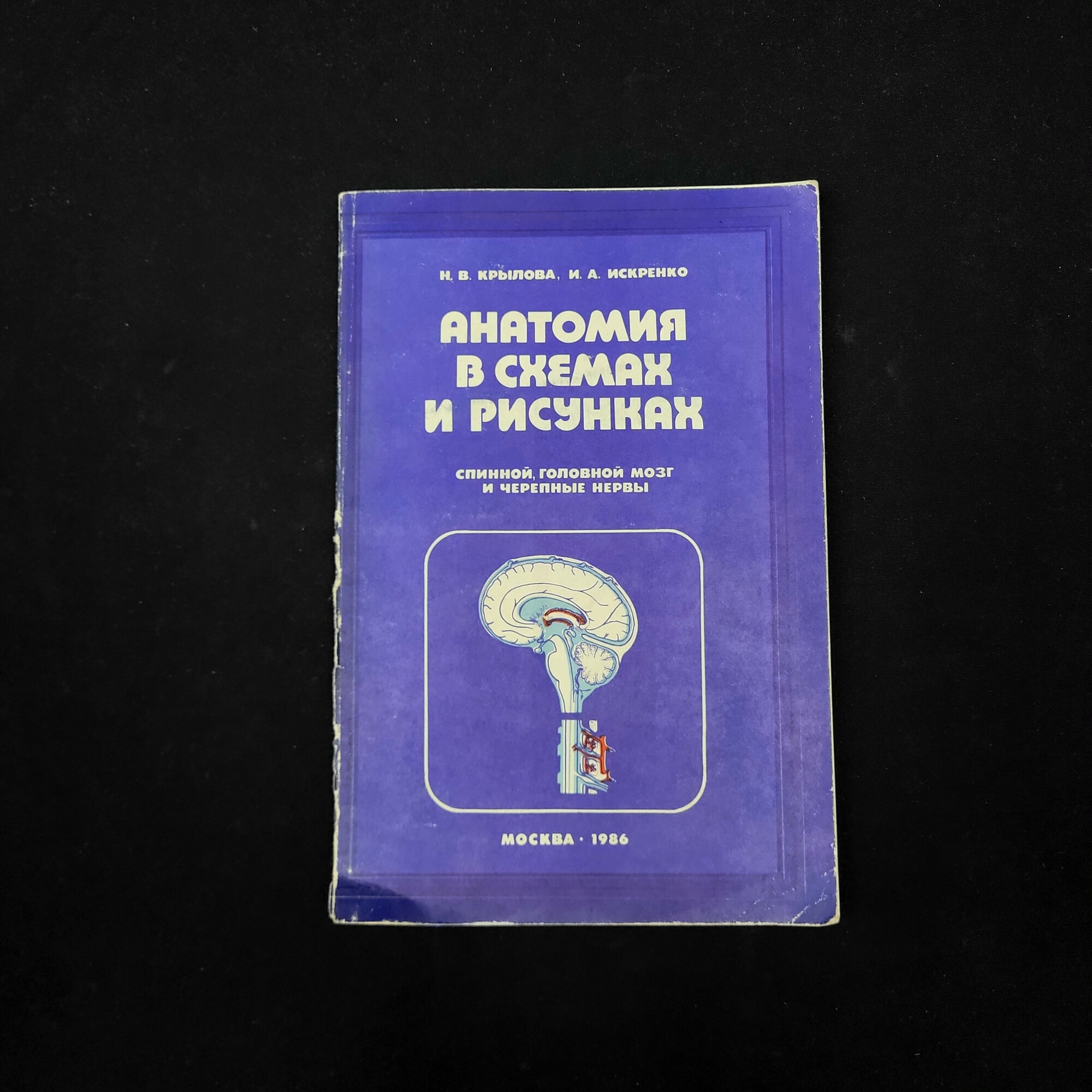 Нина Крылова, Ирина Искренко. Анатомия в схемах и рисунках. Книга СССР, учебник