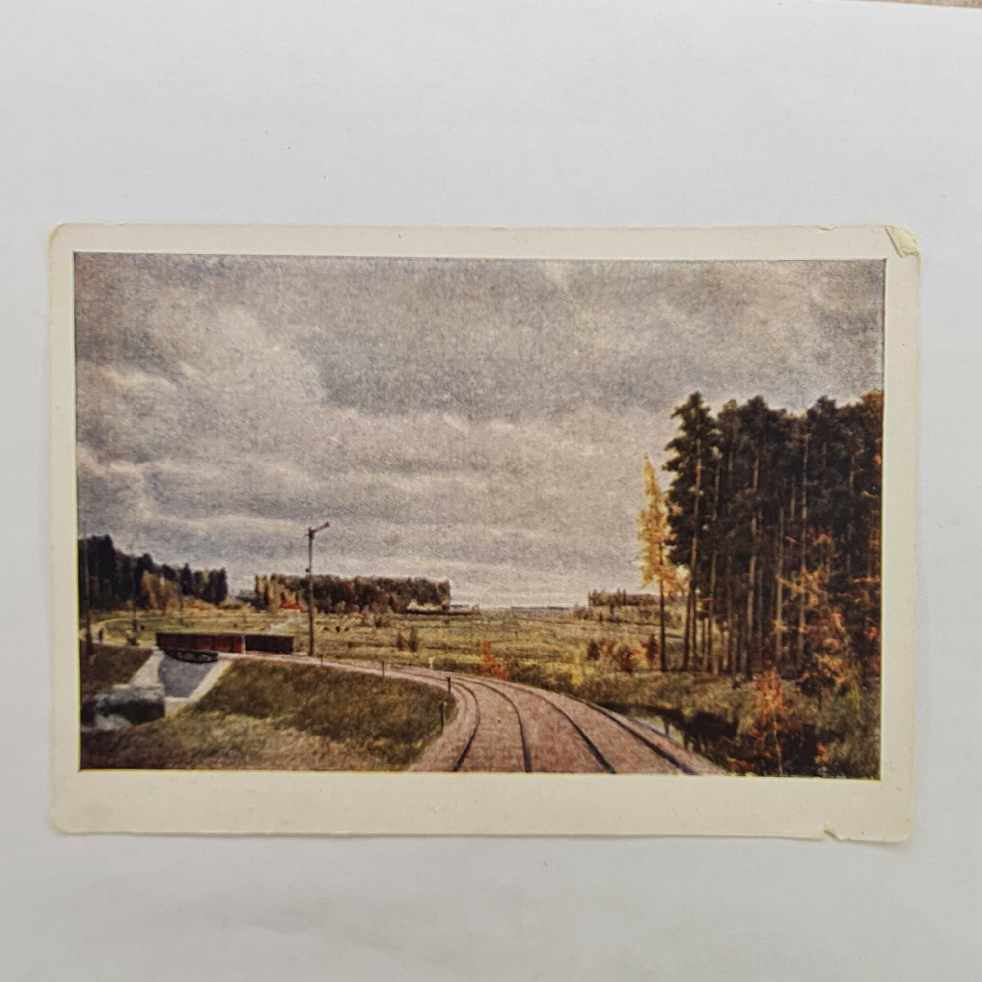 Открытка советская СССР. Белорусский пейзаж, железная дорога, лесной вид по картине Нисского винтаж