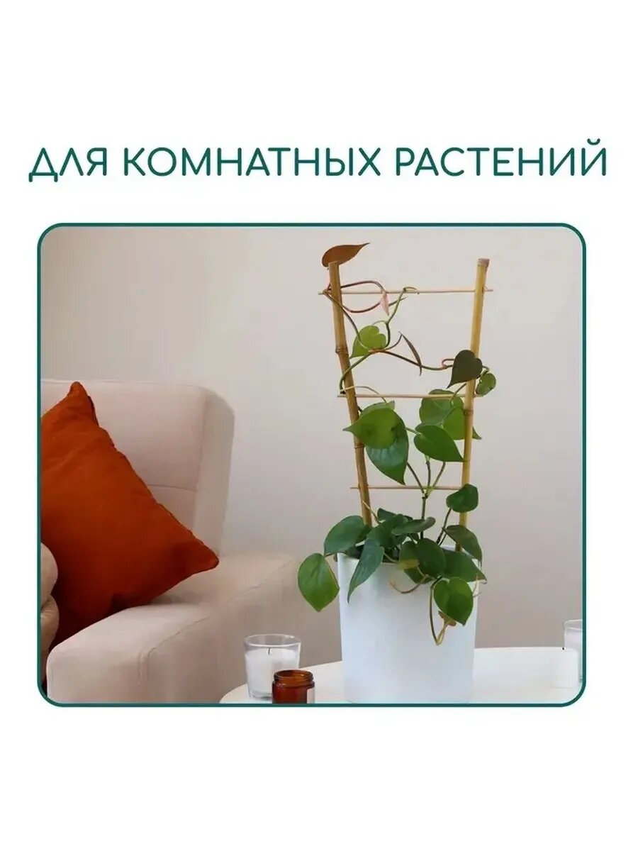 Стильная бамбуковая шпалера для растений