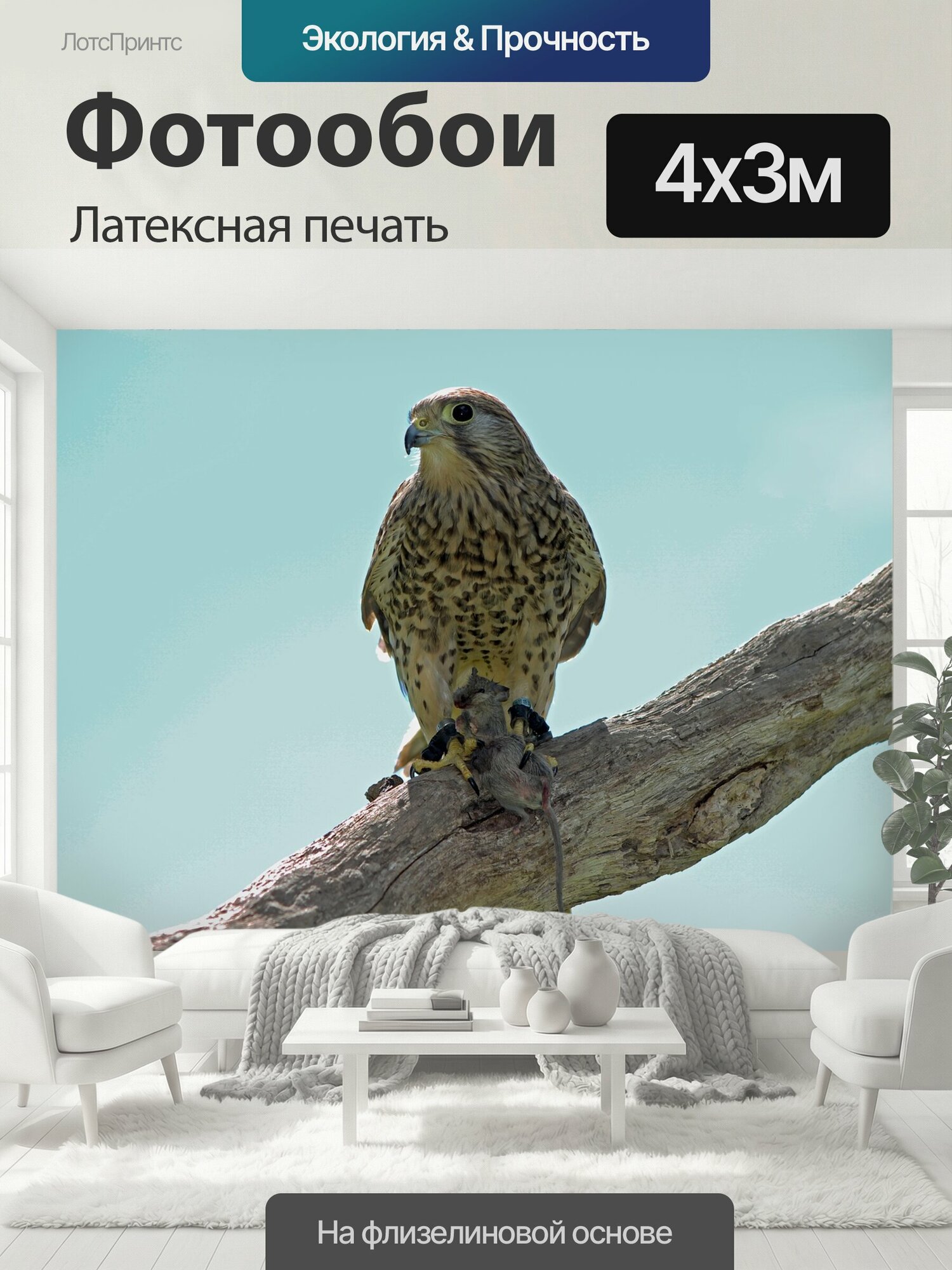 Фотообои моющиеся ударопрочные "Пустельга, хищная птица, птица" 400x300 см. латексная печать