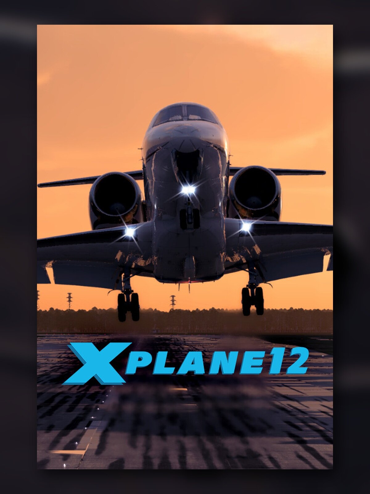 Игра X-Plane 12 Steam Gift |PC/ПК| регион Россия | Подарок Стим