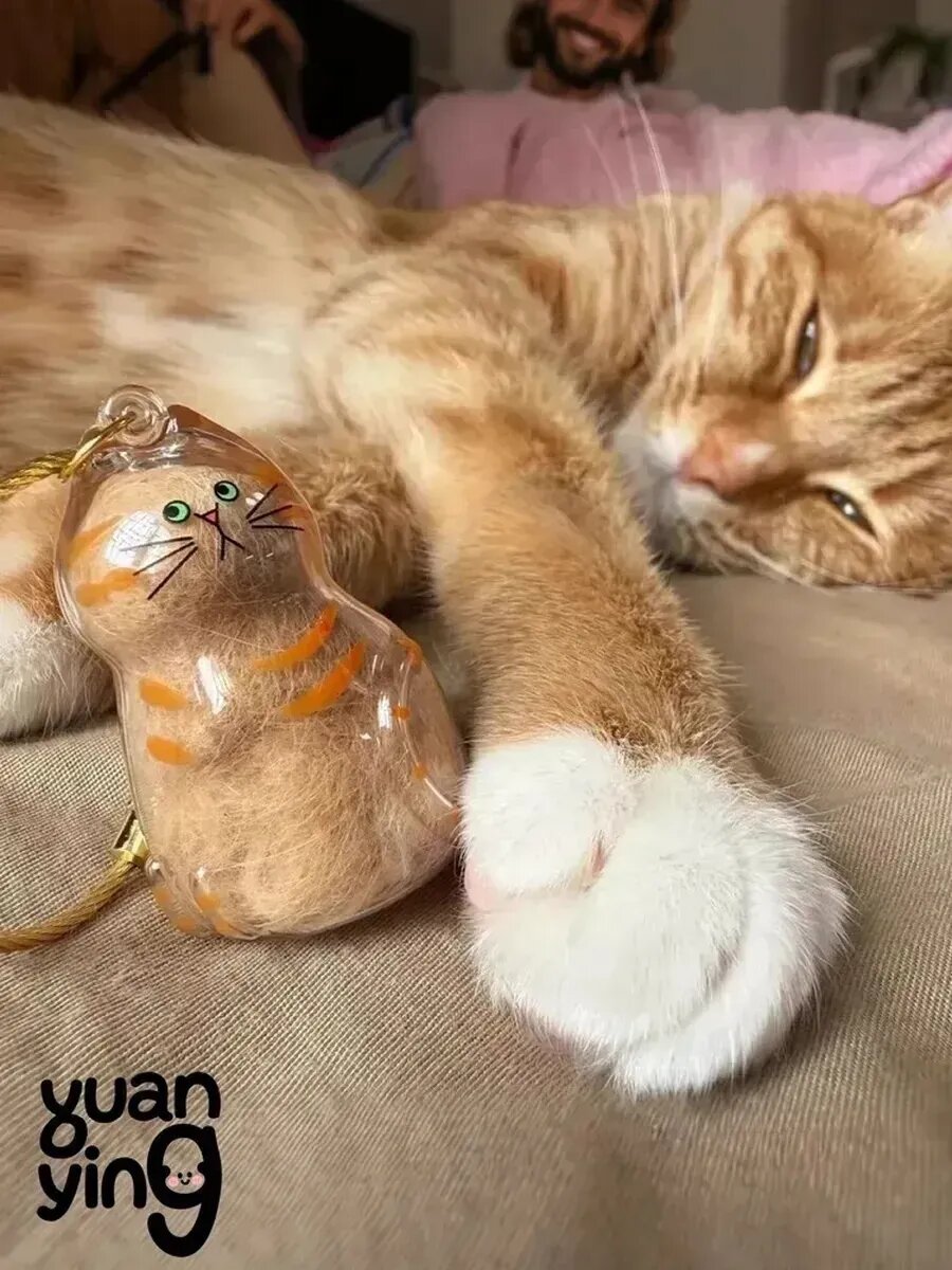 Капсула для шерсти кота — фото 1
