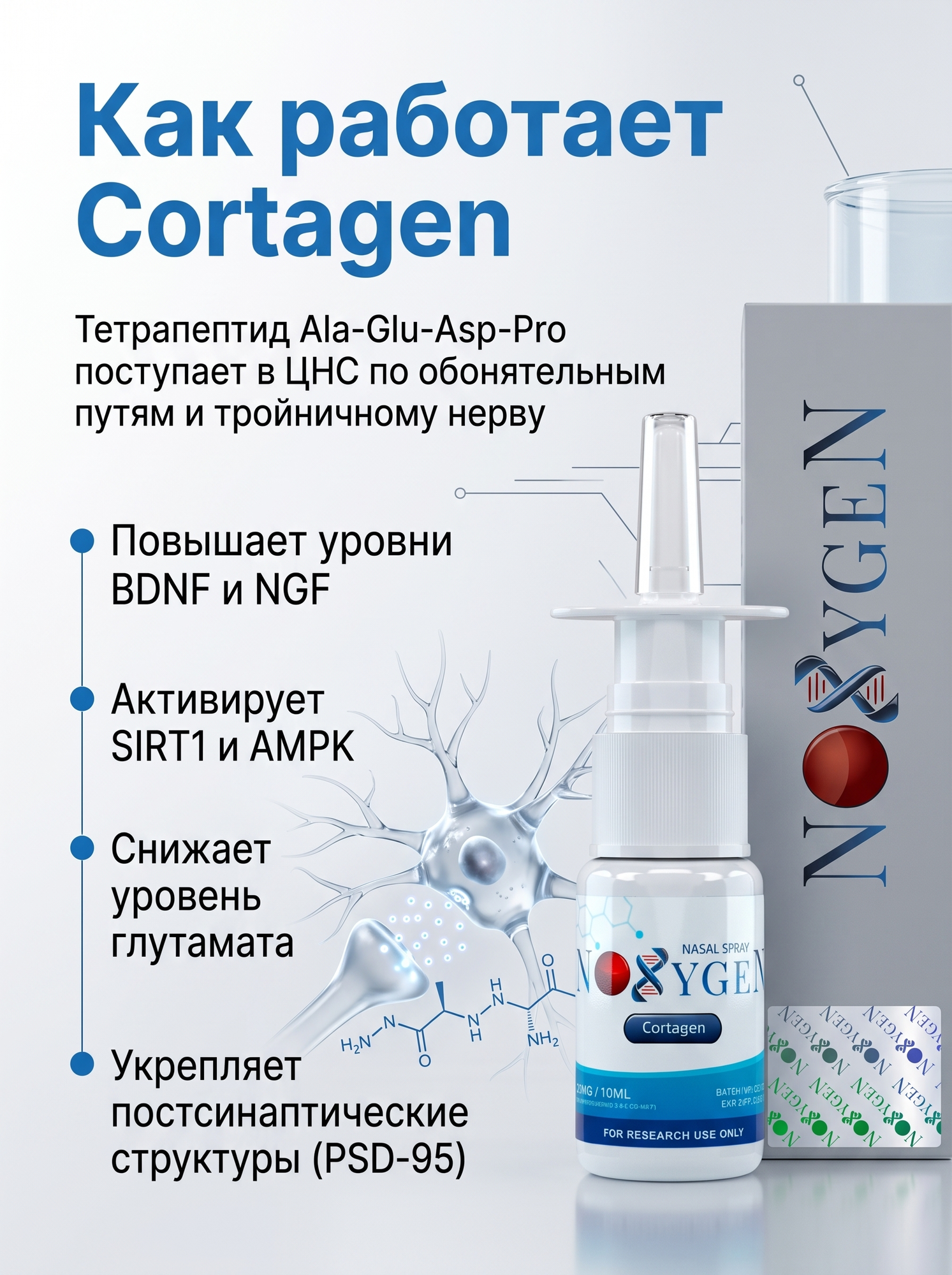 Cortagen (Ala-Glu-Asp-Pro) 20мг / 10мл нейропротекция и улучшение когнитивных функций