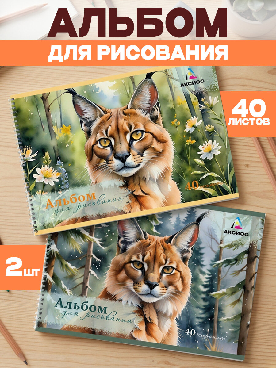 Альбом для рисования А4 в школу 40 листов, комплект 2 штуки, для рисования, творчества и учебы
