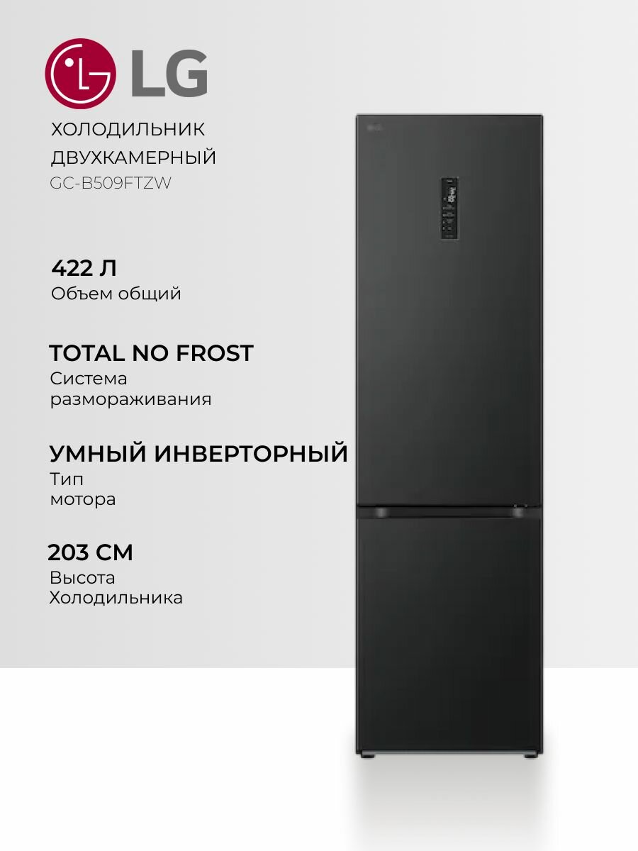 Отдельно стоящий холодильник LG GC B509FTZW