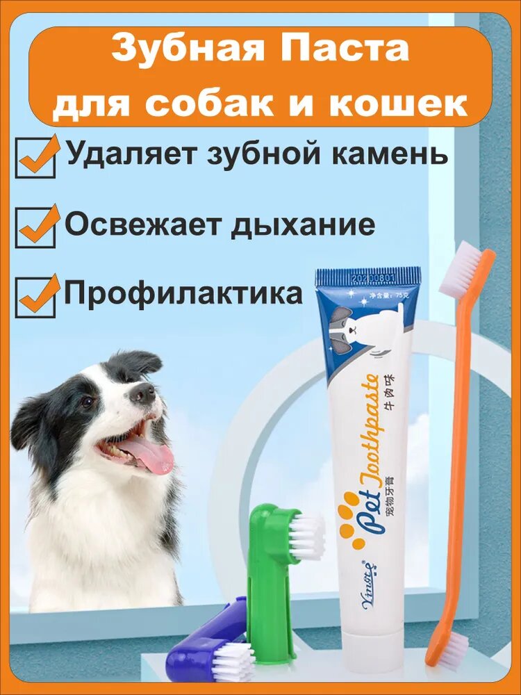 Зубная паста для собак и кошек со вкусом говядины + щетки / Набор для чистки зубов для собак и кошек