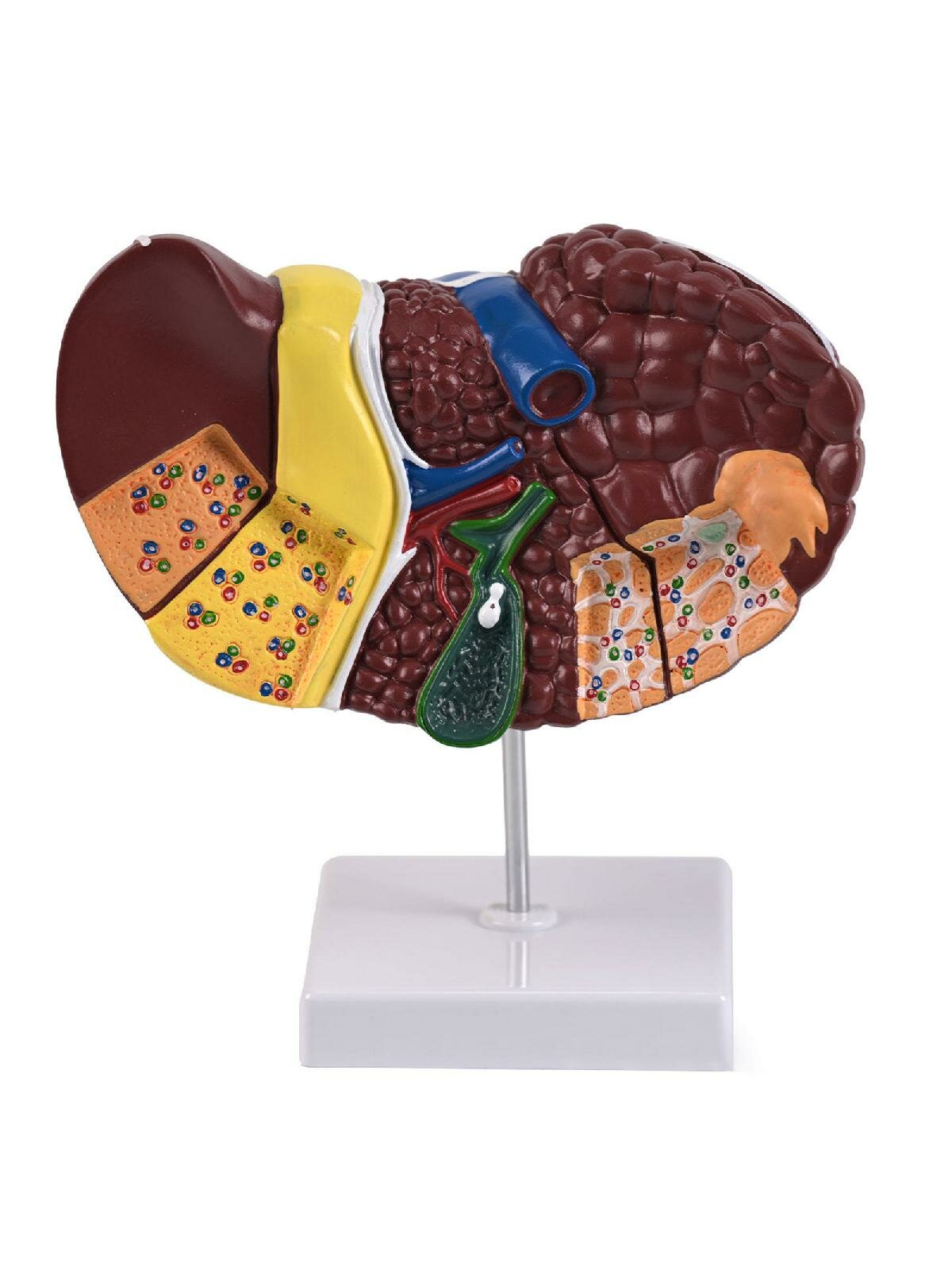 Простая в установке резервная камера с высоким качеством изображения и интеллектуальными инструкциями