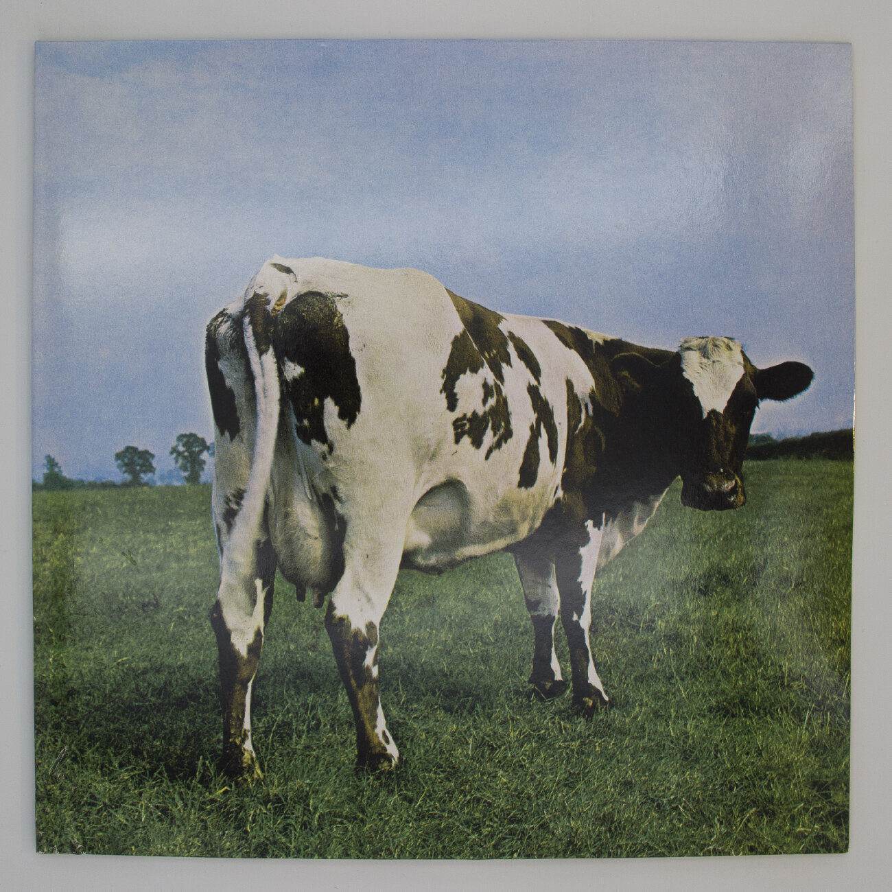 Виниловая пластинка Pink Floyd - Atom Heart Mother, 1xLP, NM