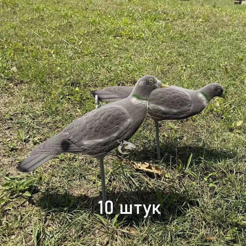 Чучело