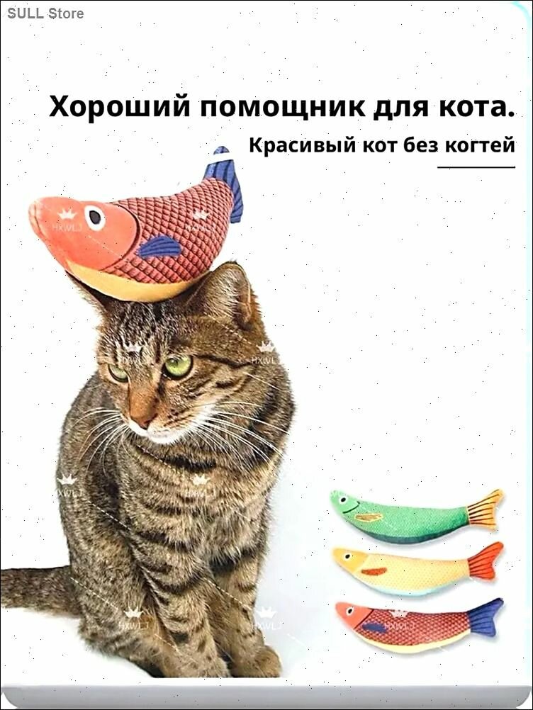 1 шт игрушки для кошек летающая птичка , игрушка для кошек, подвесные дразнилки на резинке,