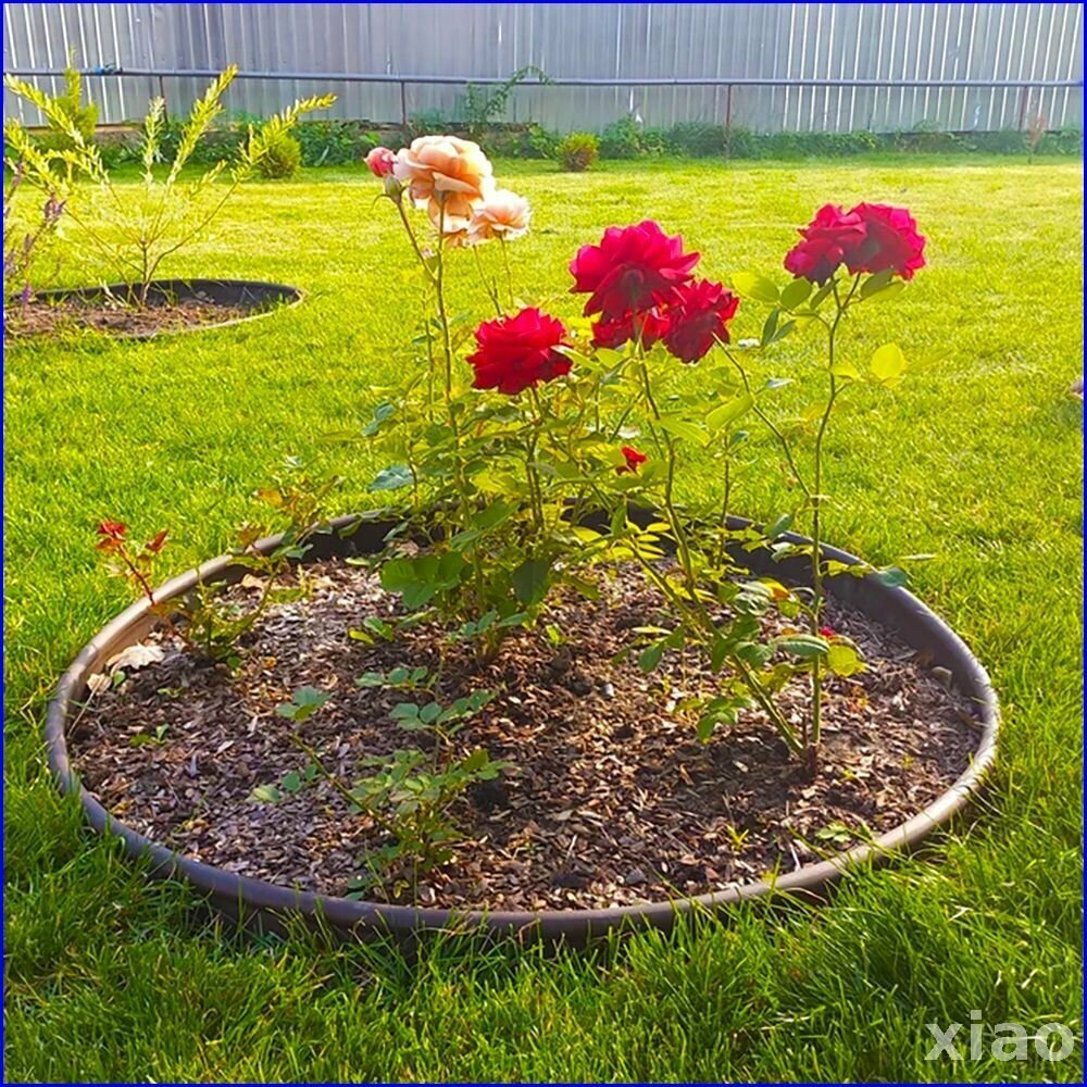 Бордюр садовый