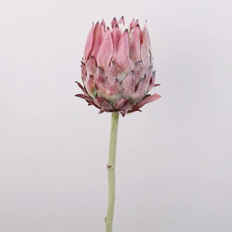 Стабилизированные цветы, 43 гр